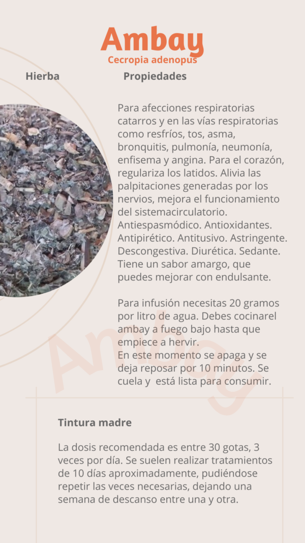 Ambay (caja grande) | Iriarte Verde